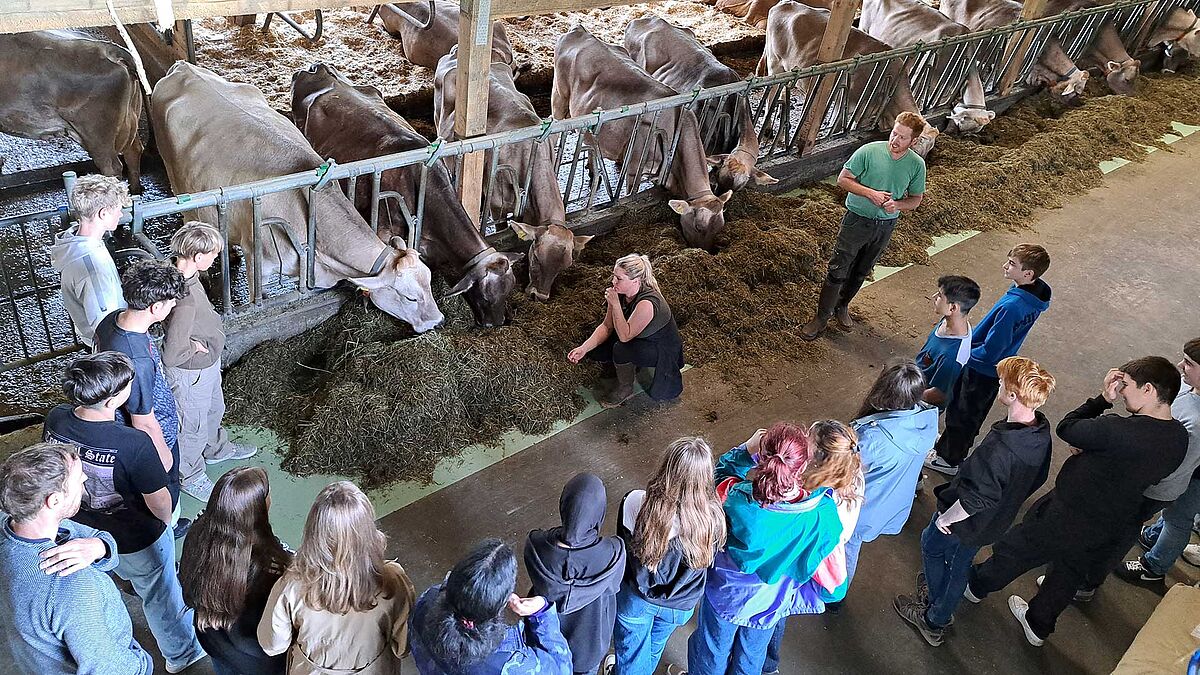 Tierethik – Wie behandeln wir «unsere» Tiere?